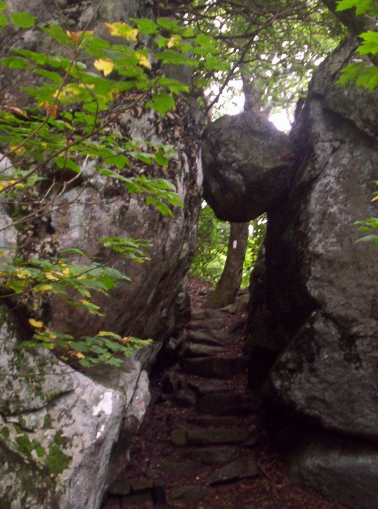 Where's Walden? » ottie cline powell